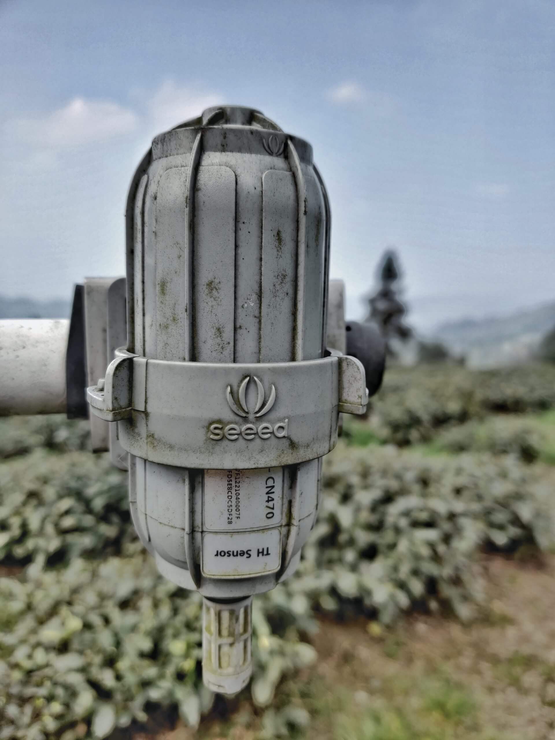 SenseCAP IIoT products supports Smart High-Mountain Tea Plantation