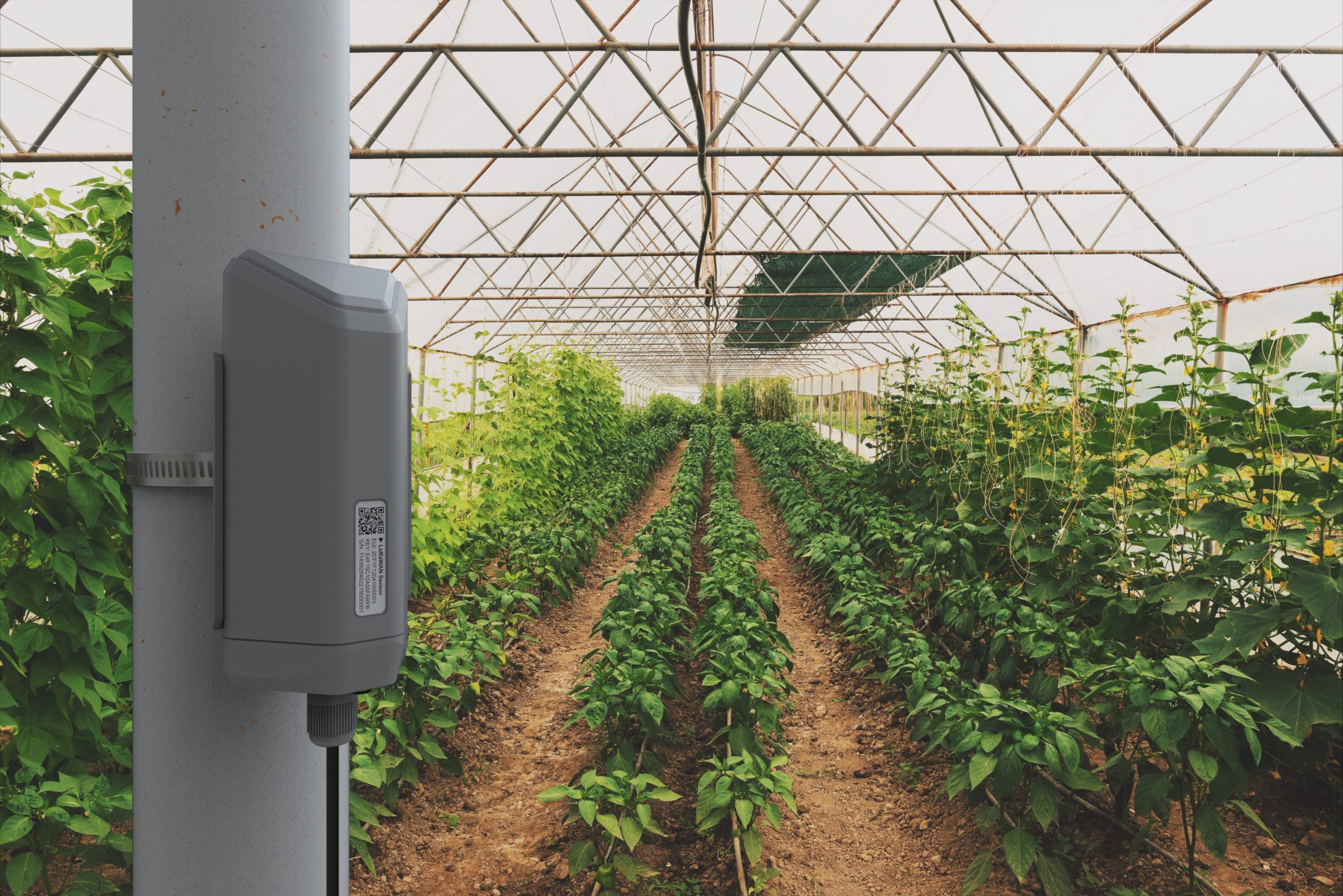 Soil Moisture: Why Important, What Challenges, How to Measure & More ...