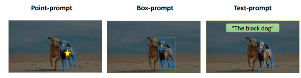 What is FastSAM: How to Segment Anything on the Edge? - Latest News ...