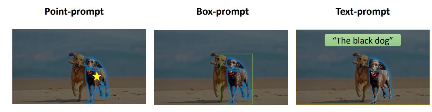 What is FastSAM: How to Segment Anything on the Edge? - Latest News ...
