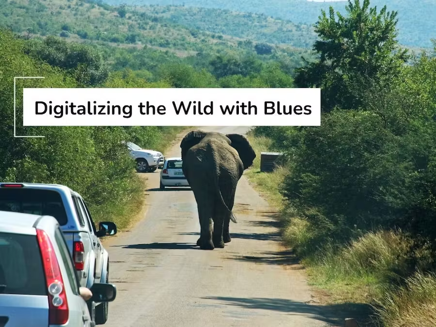 Revolutionizing Wildlife Monitoring: TinyML, IoT, and LoRa Technologies ...
