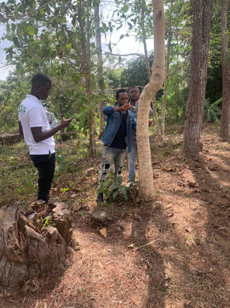 Tech for SDG: SenseCAP LoRaWAN Devices Deployed to Monitor Carbon ...