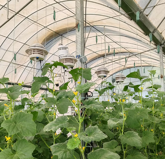 Smart Farm: Trends, Innovations, and Real-World Applications - Latest ...