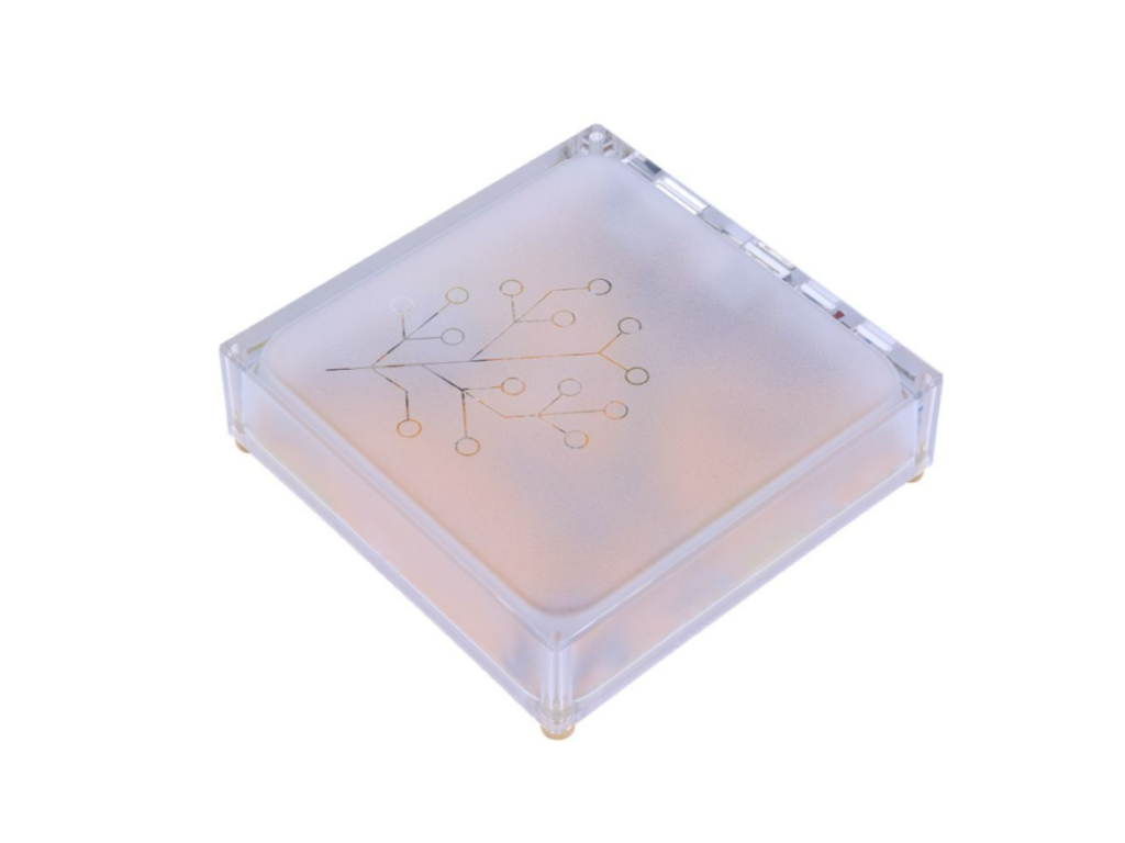 Home Assistant Yellow’s CM5 Ready: Full Stock Available Now at Seeed ...