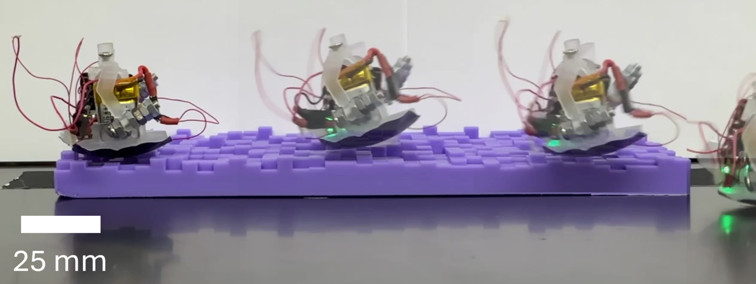 Zippy: The World’s Smallest Power-Autonomous Bipedal Robot, Powered by ...