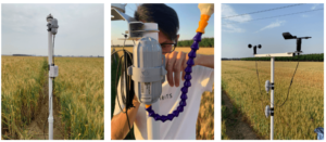 What Is LoRaWAN?A Simple Guide for Starters - Latest News from Seeed Studio