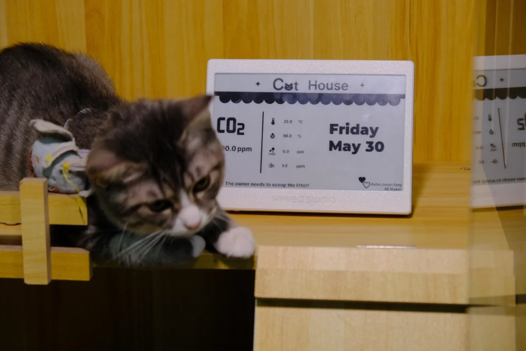 Home Assistant Display Showcase: From Community Designs to Your Own ...