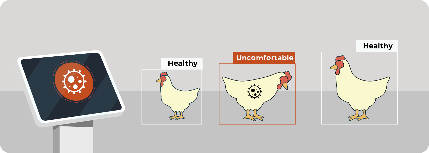Chicken Farm - solution