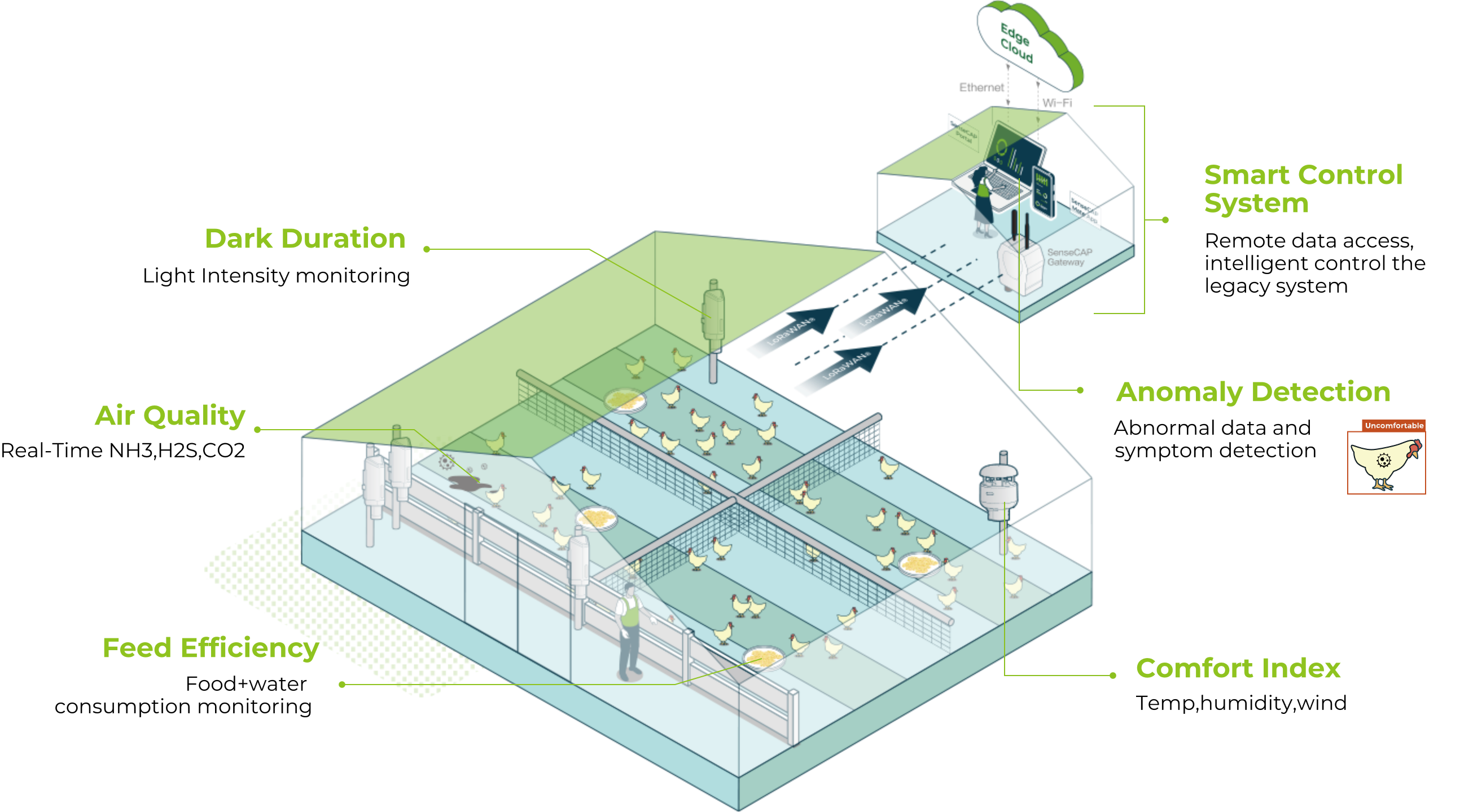 Chicken Farm - solution